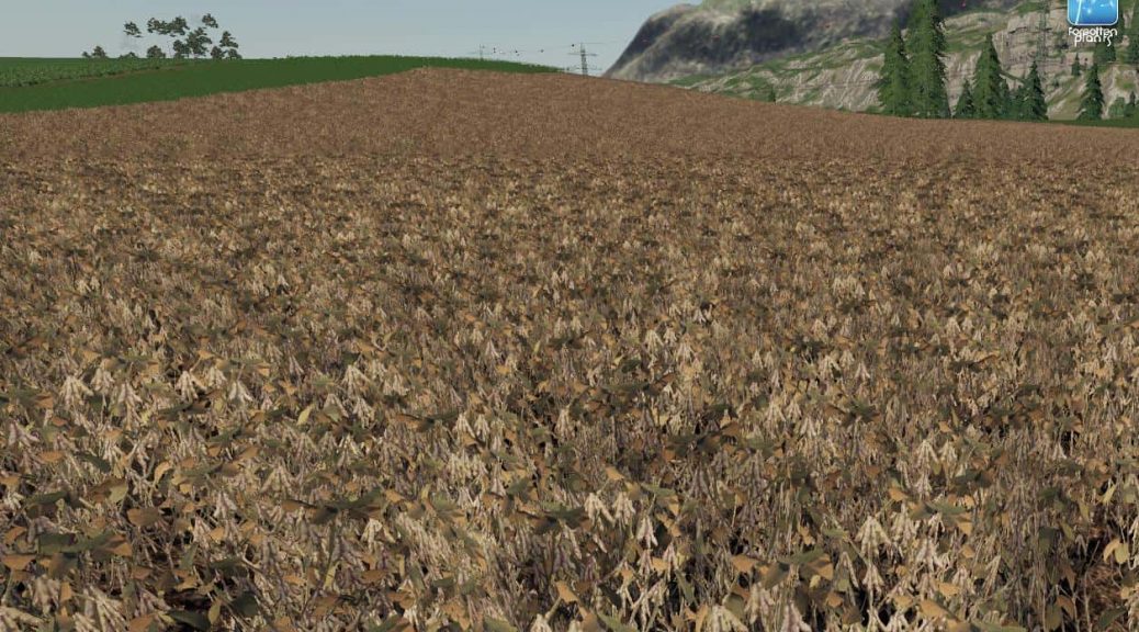 Forgotten Plants – Soybean v1.0 Mod - Farming Simulator 2022 / 19 mod