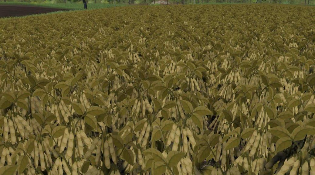 Modified soy texture v1.0 Mod - Farming Simulator 2022 / 19 mod