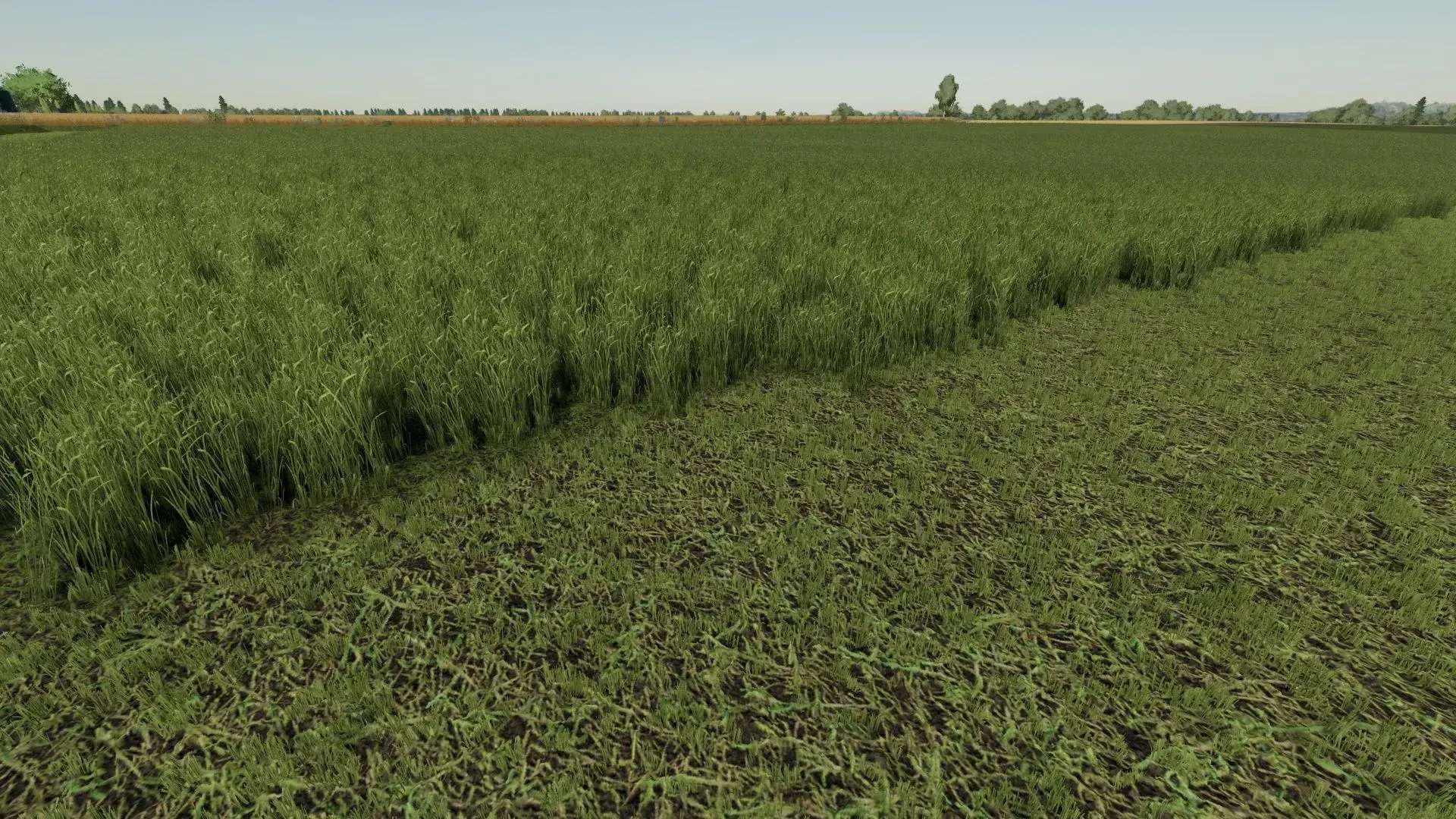 Grass Texture v1.0.0.1 Texture - Farming Simulator 2022 / 19 mod